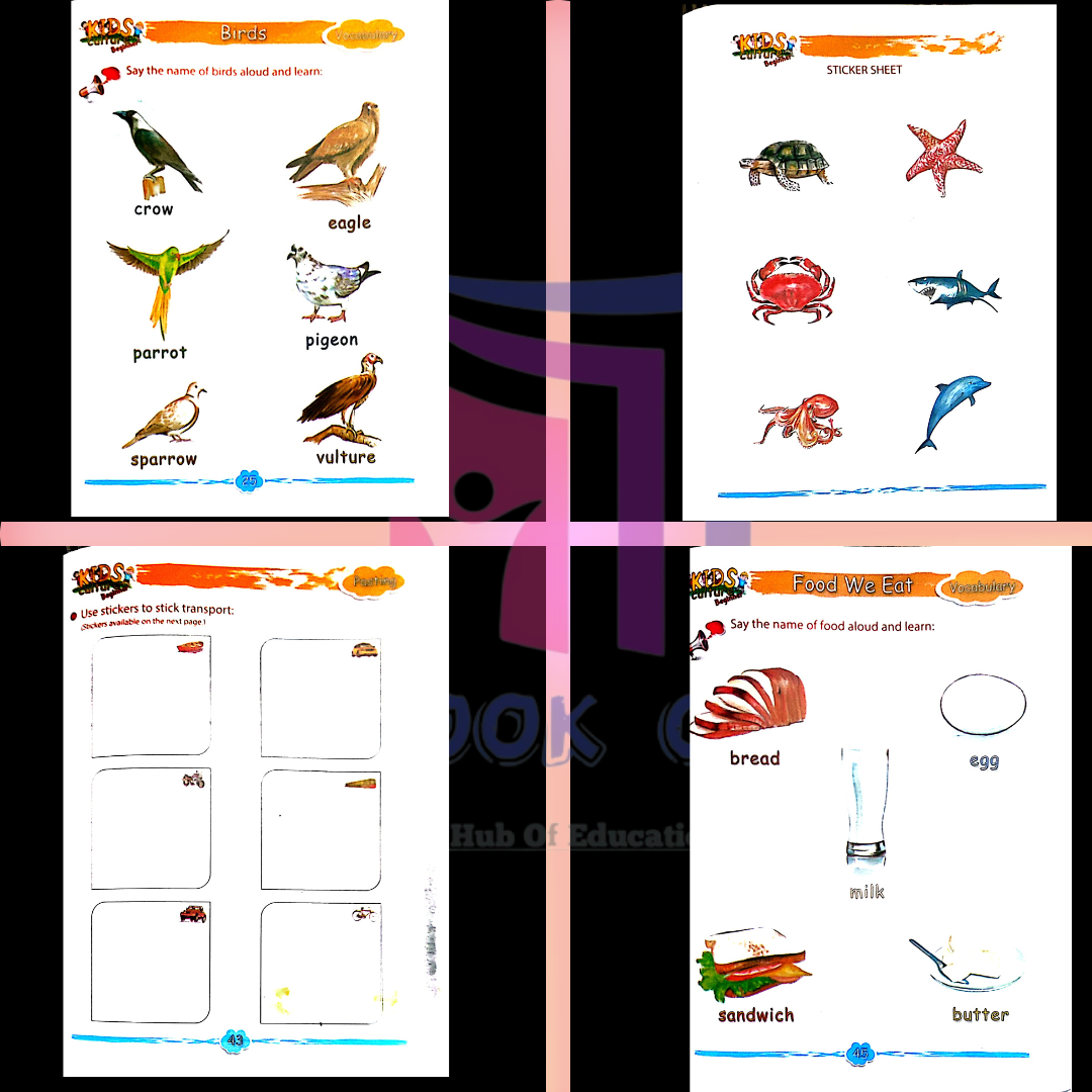 Kids Culture Beginner For Playgroup – BOOKONE.PK